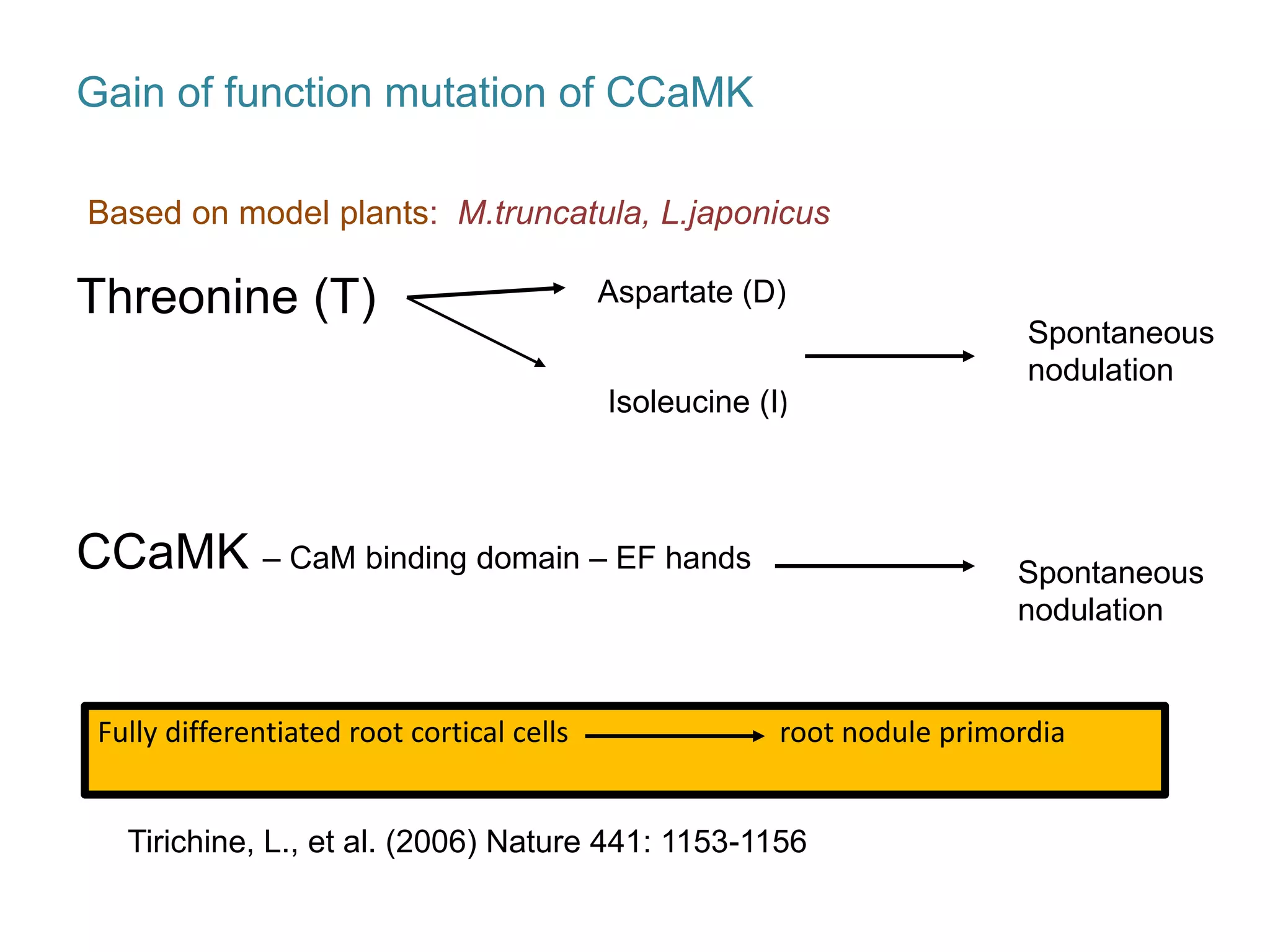 Activation of calcium and calmodulin dependent protein | PPTX