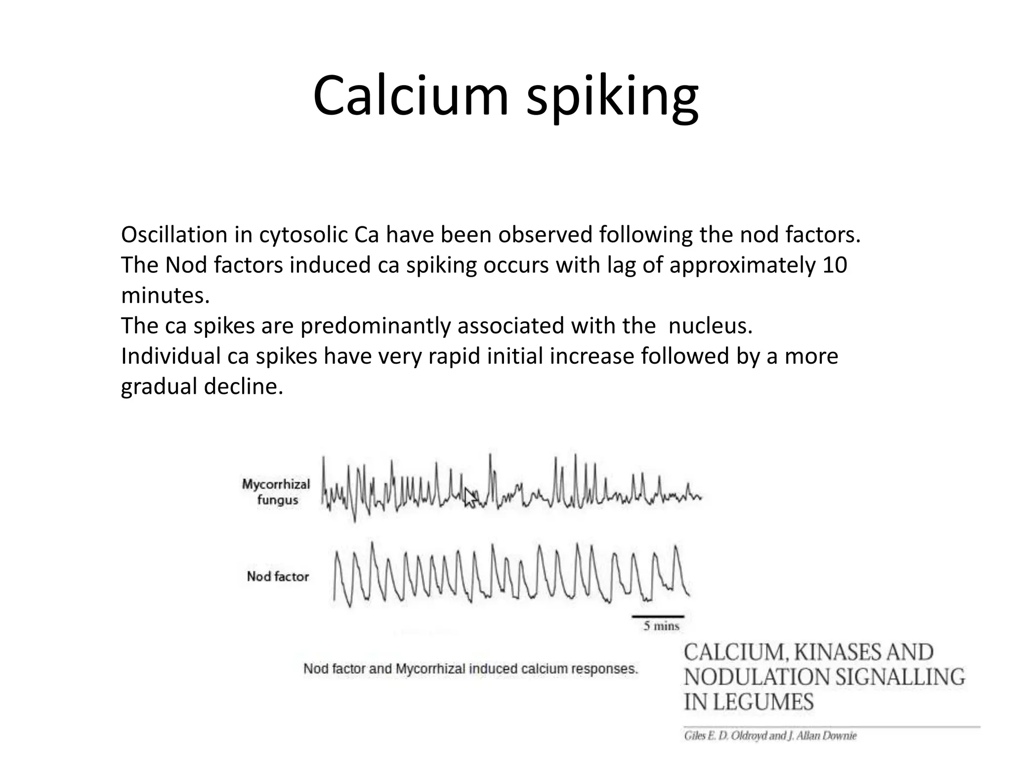 Activation of calcium and calmodulin dependent protein | PPTX