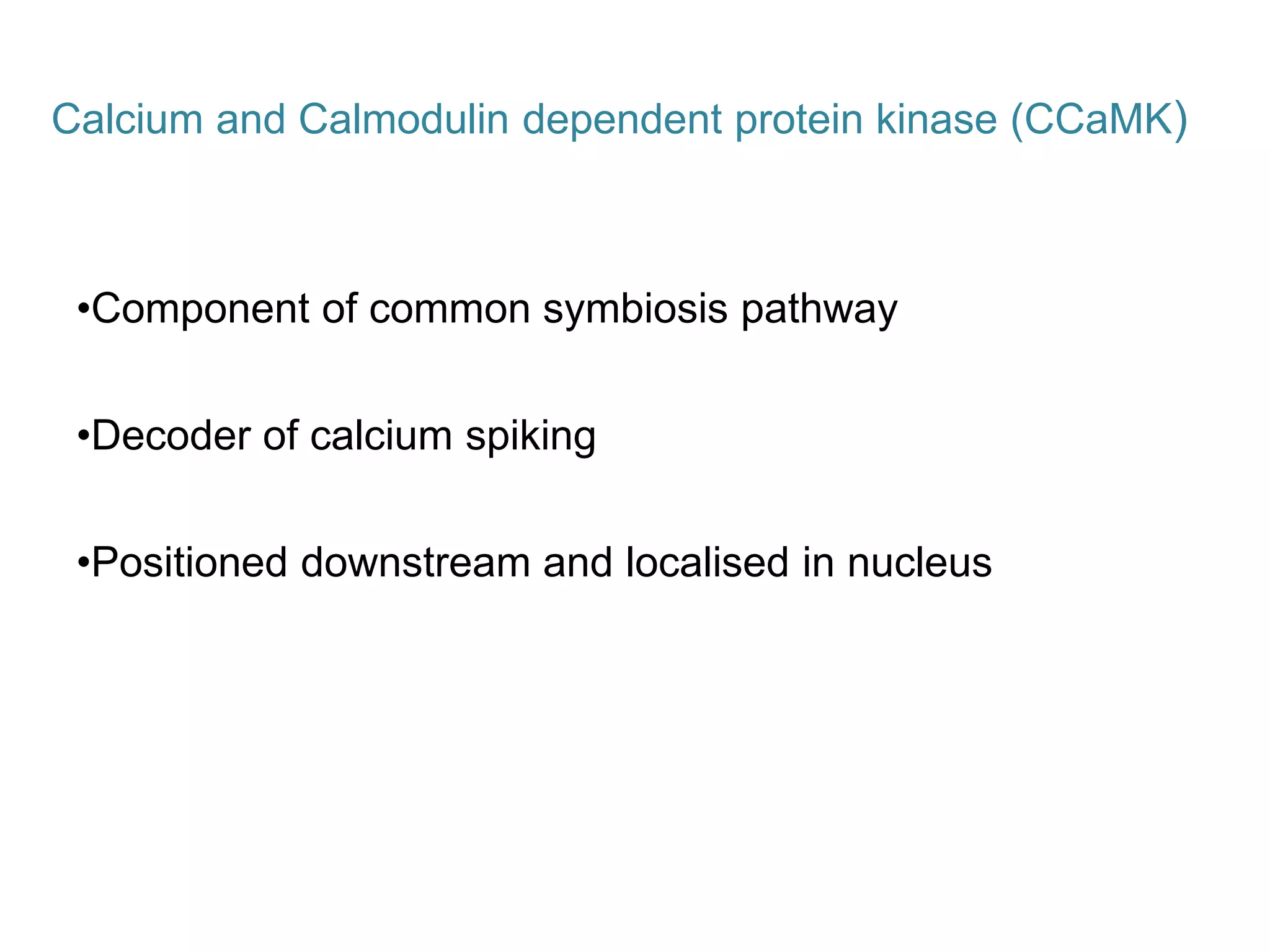 Activation of calcium and calmodulin dependent protein | PPTX