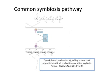 Activation of calcium and calmodulin dependent protein | PPTX