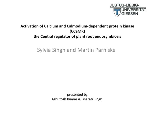 Activation of calcium and calmodulin dependent protein | PPTX | Chemistry | Science