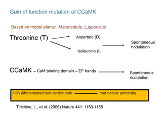 Activation of calcium and calmodulin dependent protein | PPTX