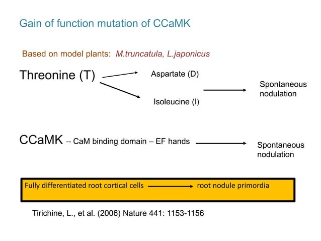 Activation of calcium and calmodulin dependent protein | PPTX | Chemistry | Science