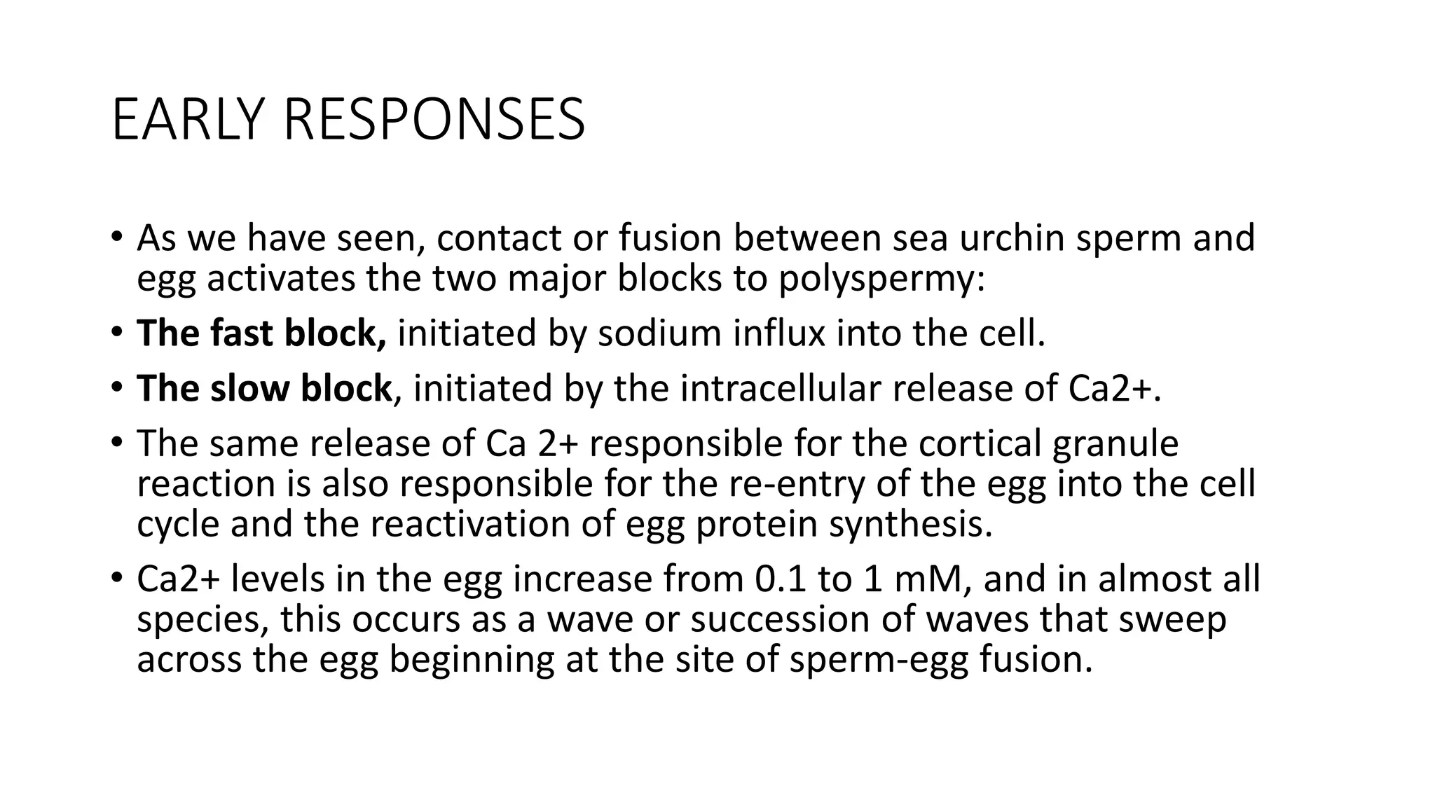 Activation of egg metabolism | PPTX