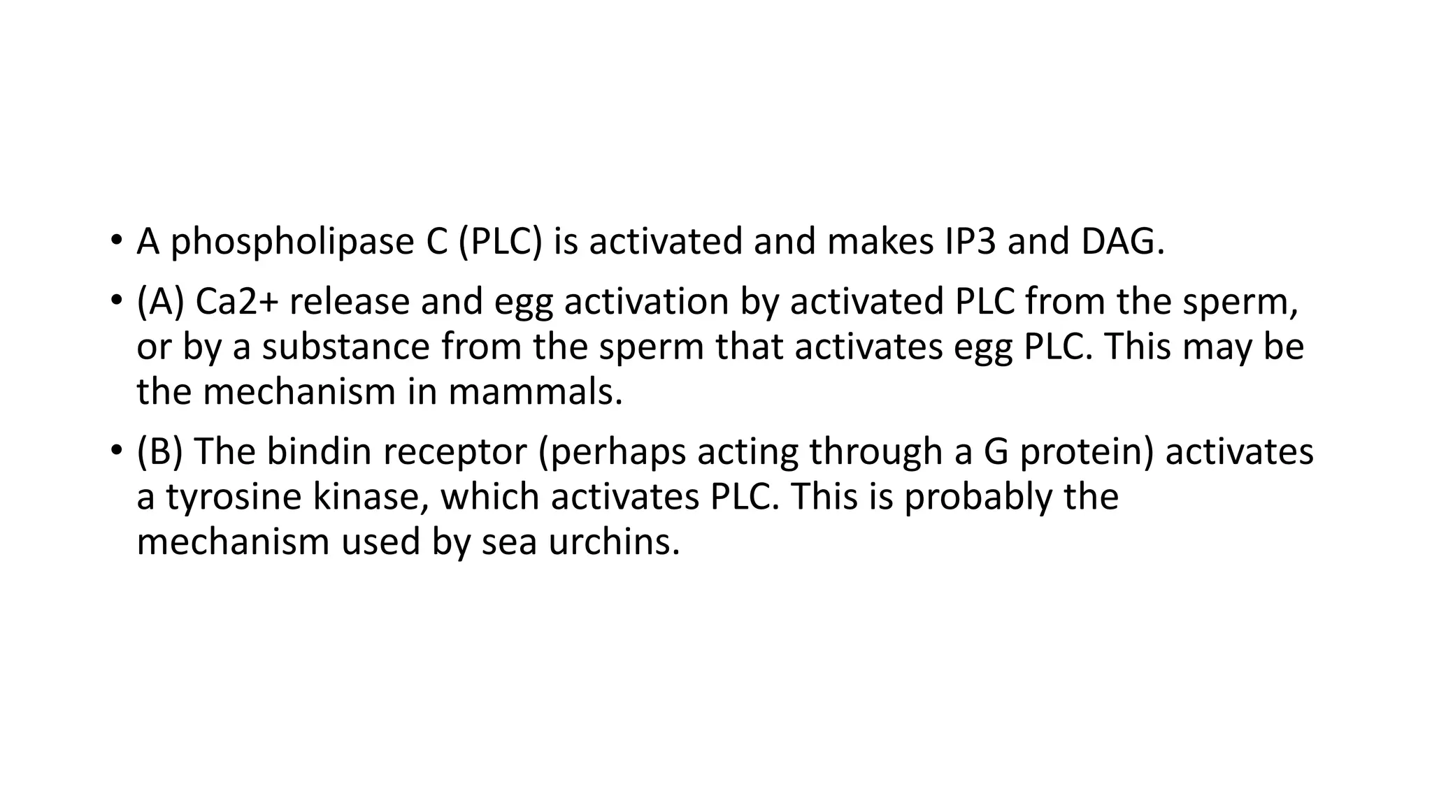 Activation of egg metabolism | PPTX