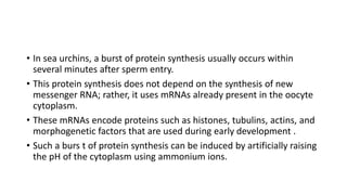 Activation of egg metabolism | PPTX