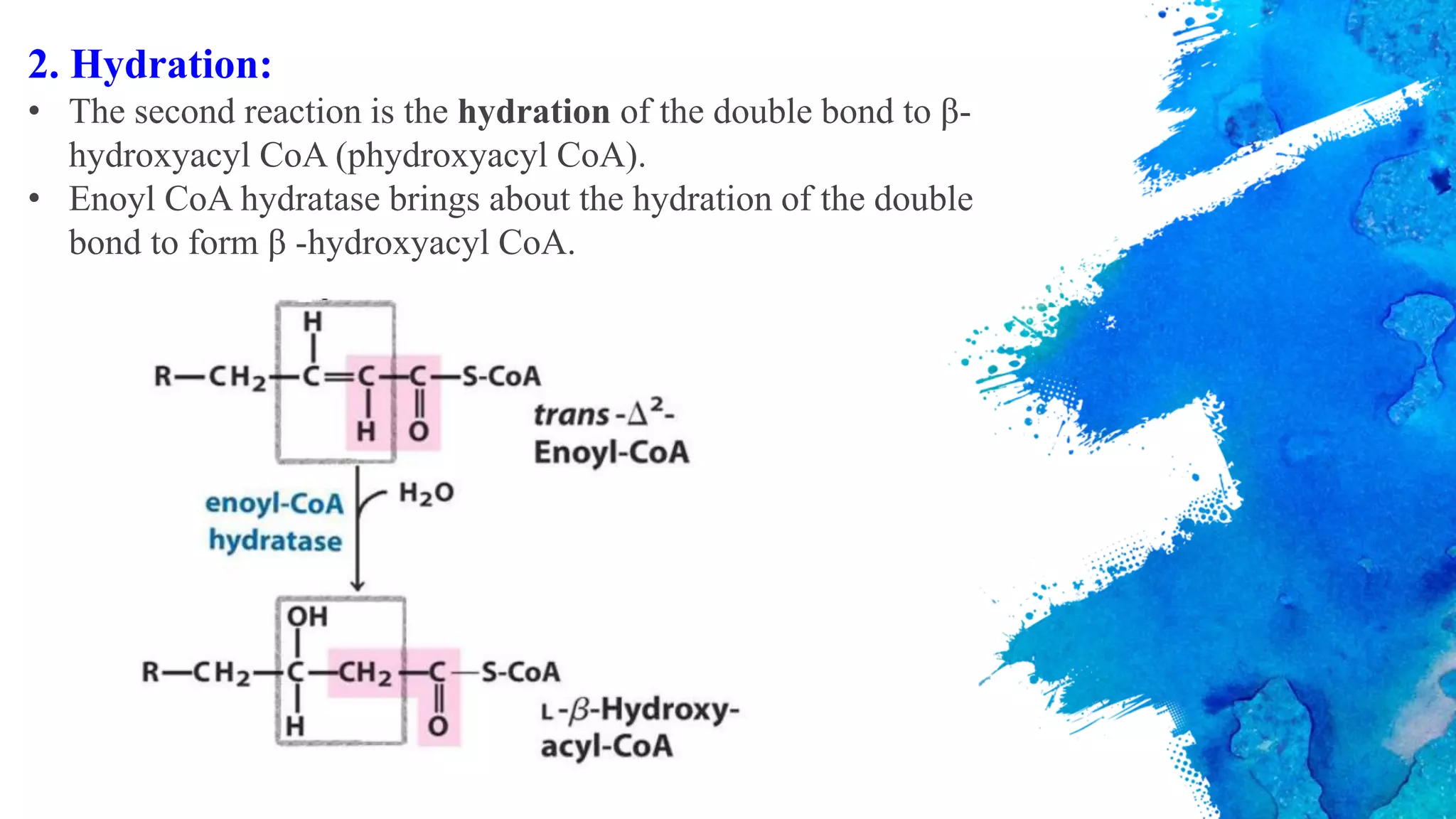 lipid metabolism (Activation of fatty acid ,oxidation of fatty acids) | PDF
