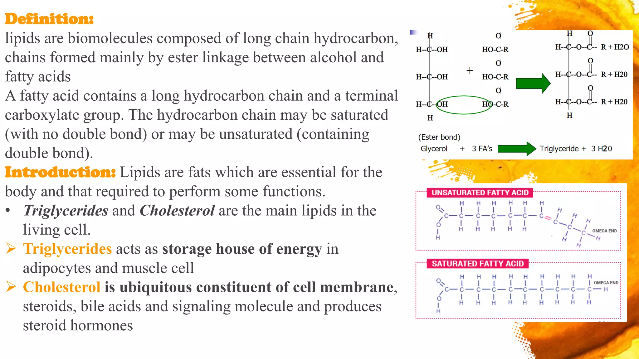 lipid metabolism (Activation of fatty acid ,oxidation of fatty acids) | PDF
