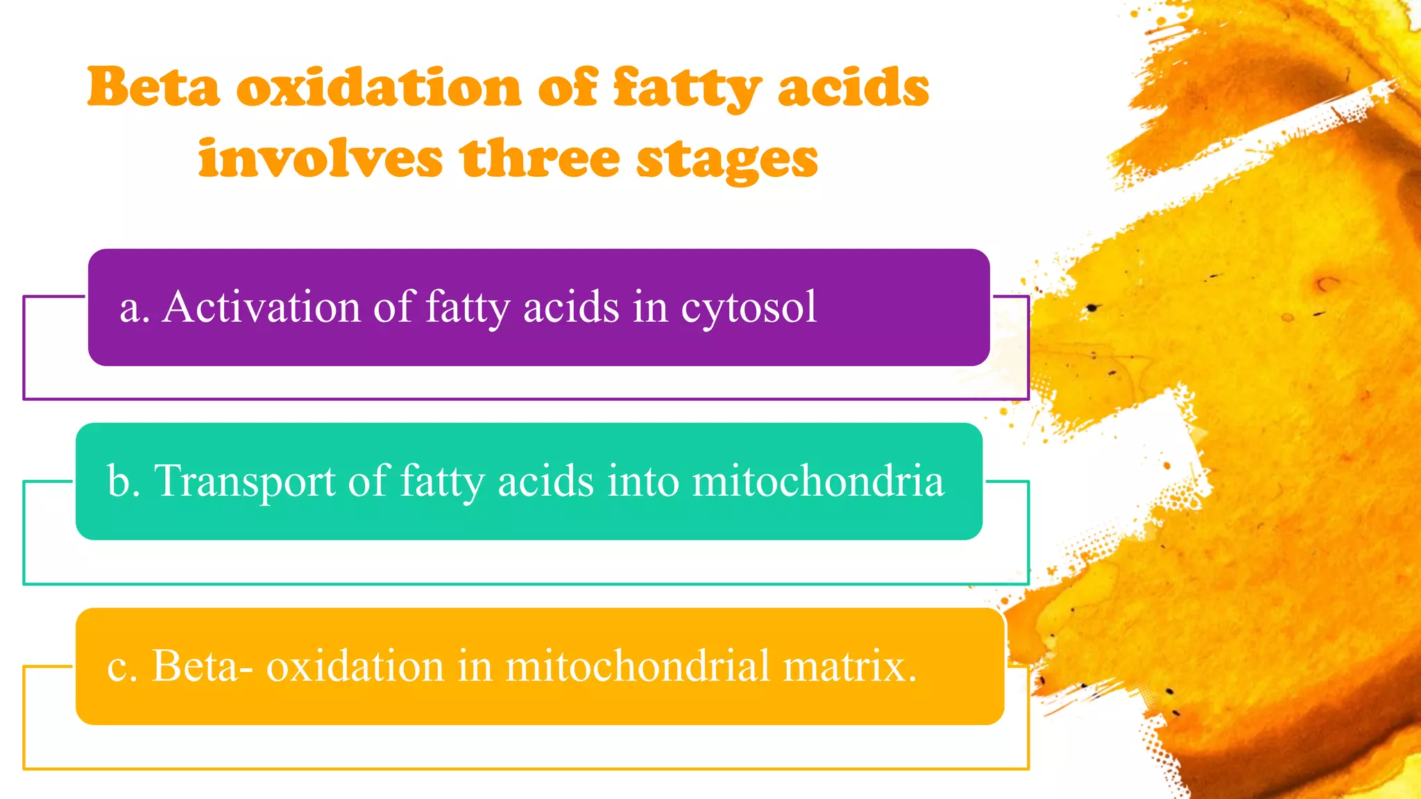 lipid metabolism (Activation of fatty acid ,oxidation of fatty acids) | PDF