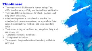 lipid metabolism (Activation of fatty acid ,oxidation of fatty acids ...