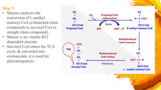 lipid metabolism (Activation of fatty acid ,oxidation of fatty acids) | PDF