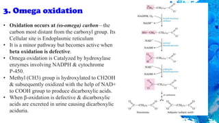 lipid metabolism (Activation of fatty acid ,oxidation of fatty acids) | PDF