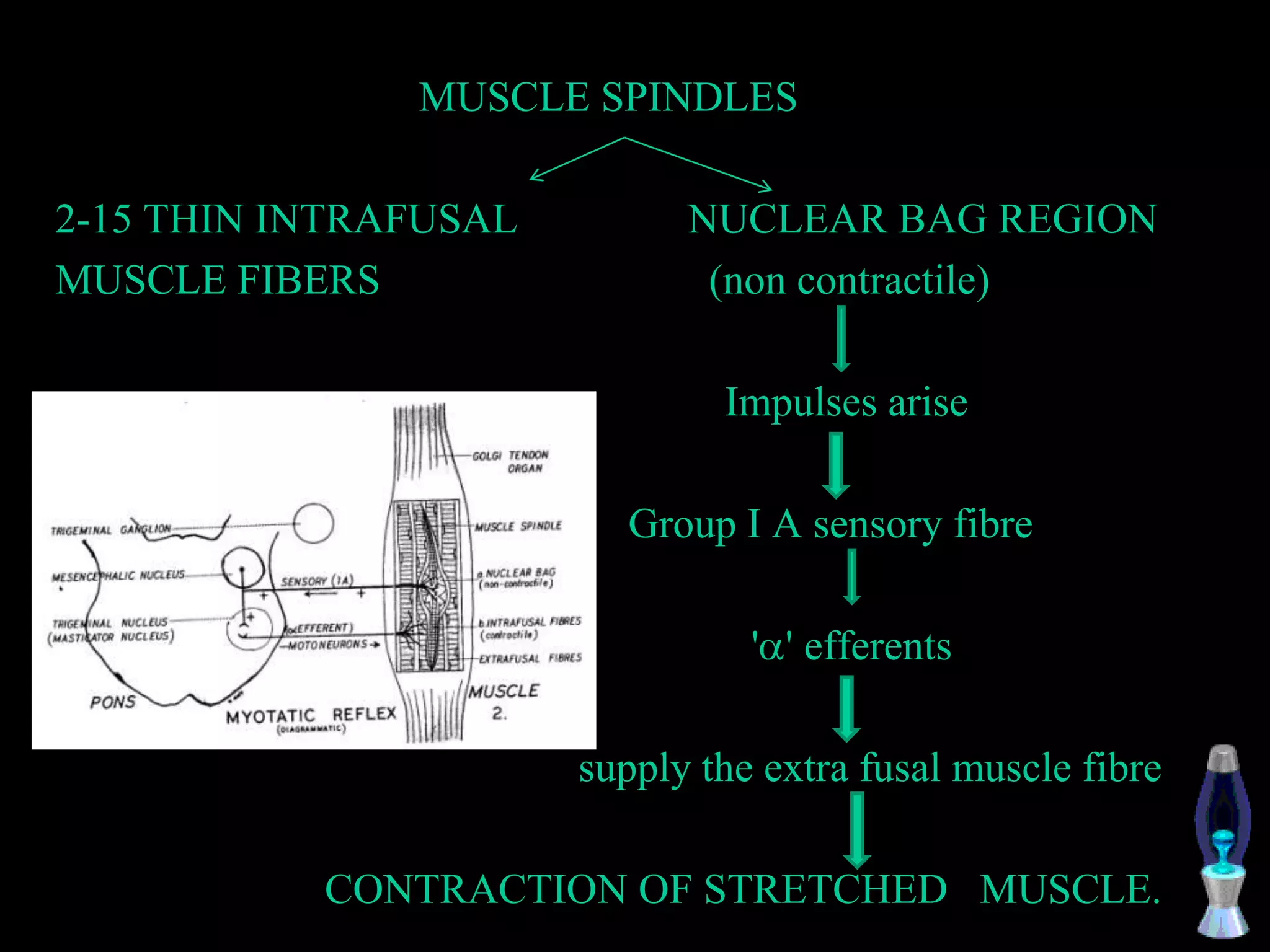 Activator and its modifications | PPTX