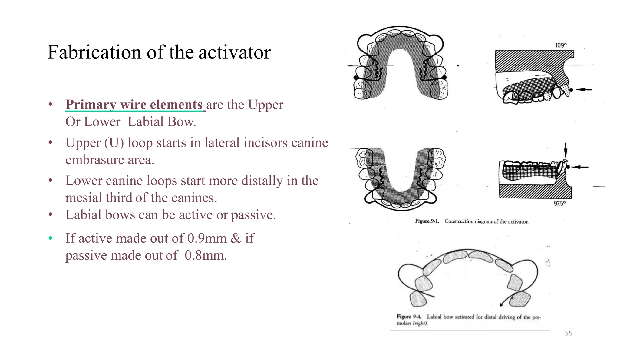 Activator- A Functional Appliance. pptx | PPTX