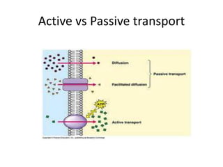 Active passive transport | PPTX
