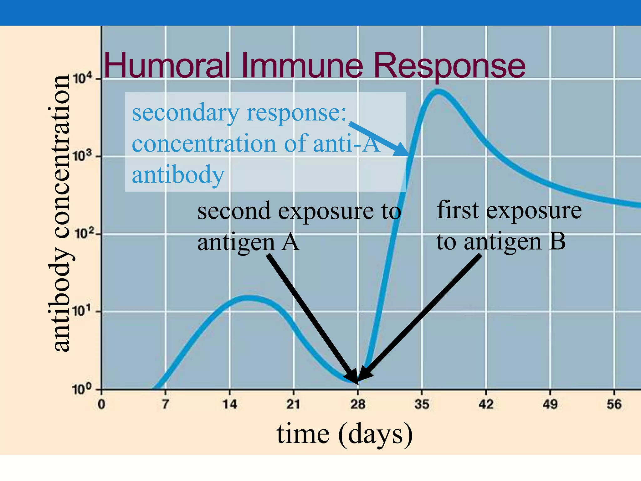 Active and passive immunity | PPTX