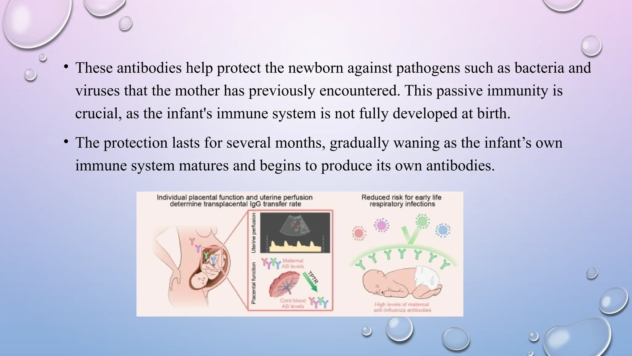 active and passive immunity and the mechanism of action | PPTX