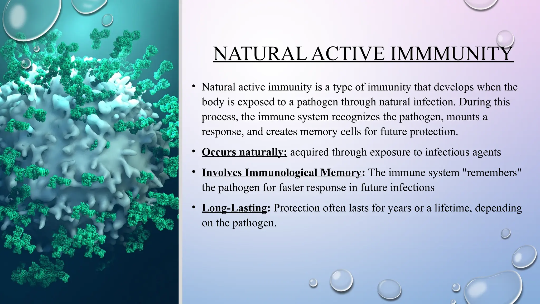 active and passive immunity and the mechanism of action | PPTX