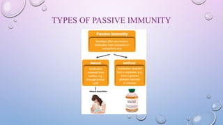 active and passive immunity and the mechanism of action | PPTX