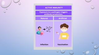 active and passive immunity and the mechanism of action | PPTX
