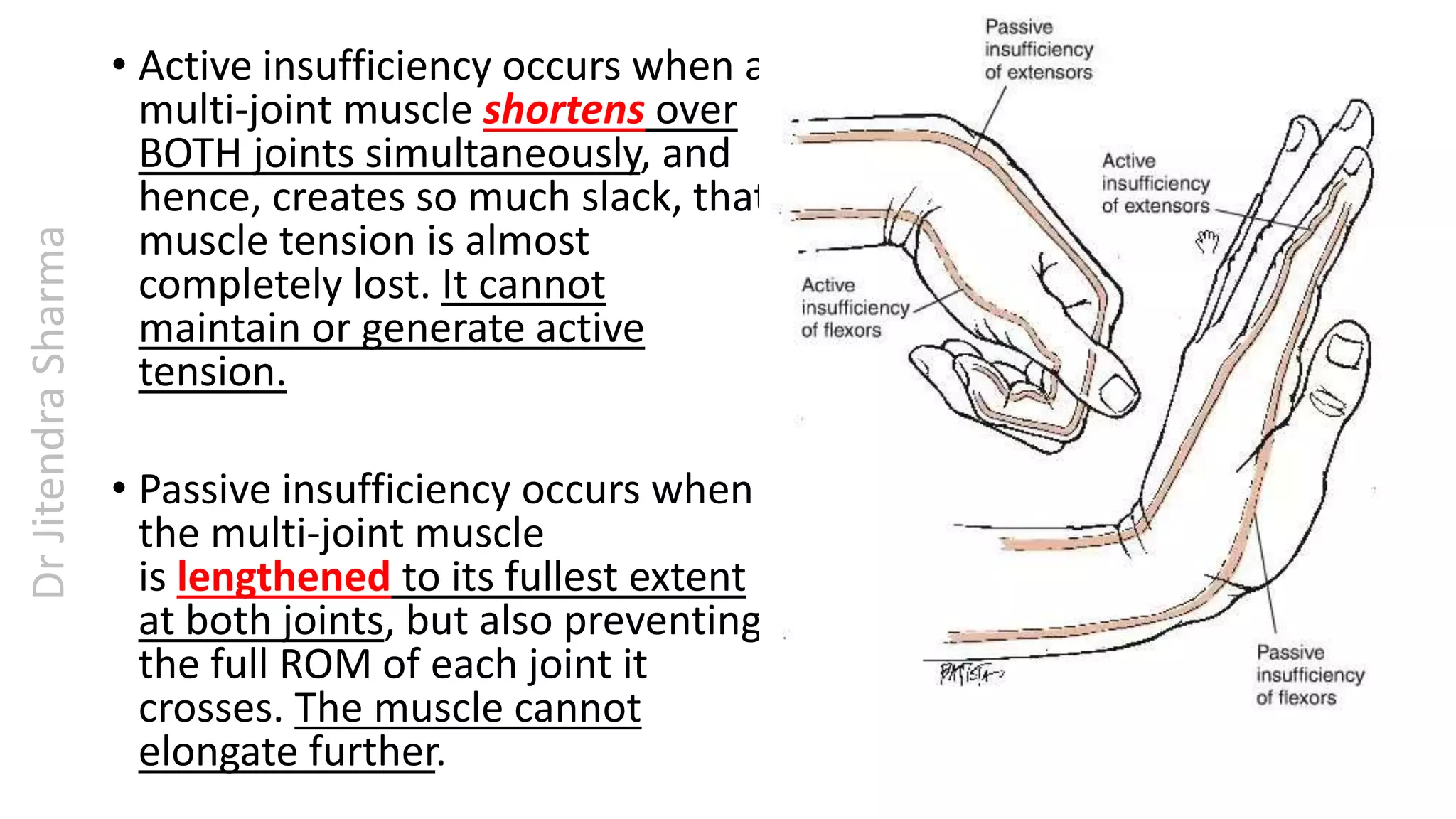 Active and Passive Insufficiency.pptx