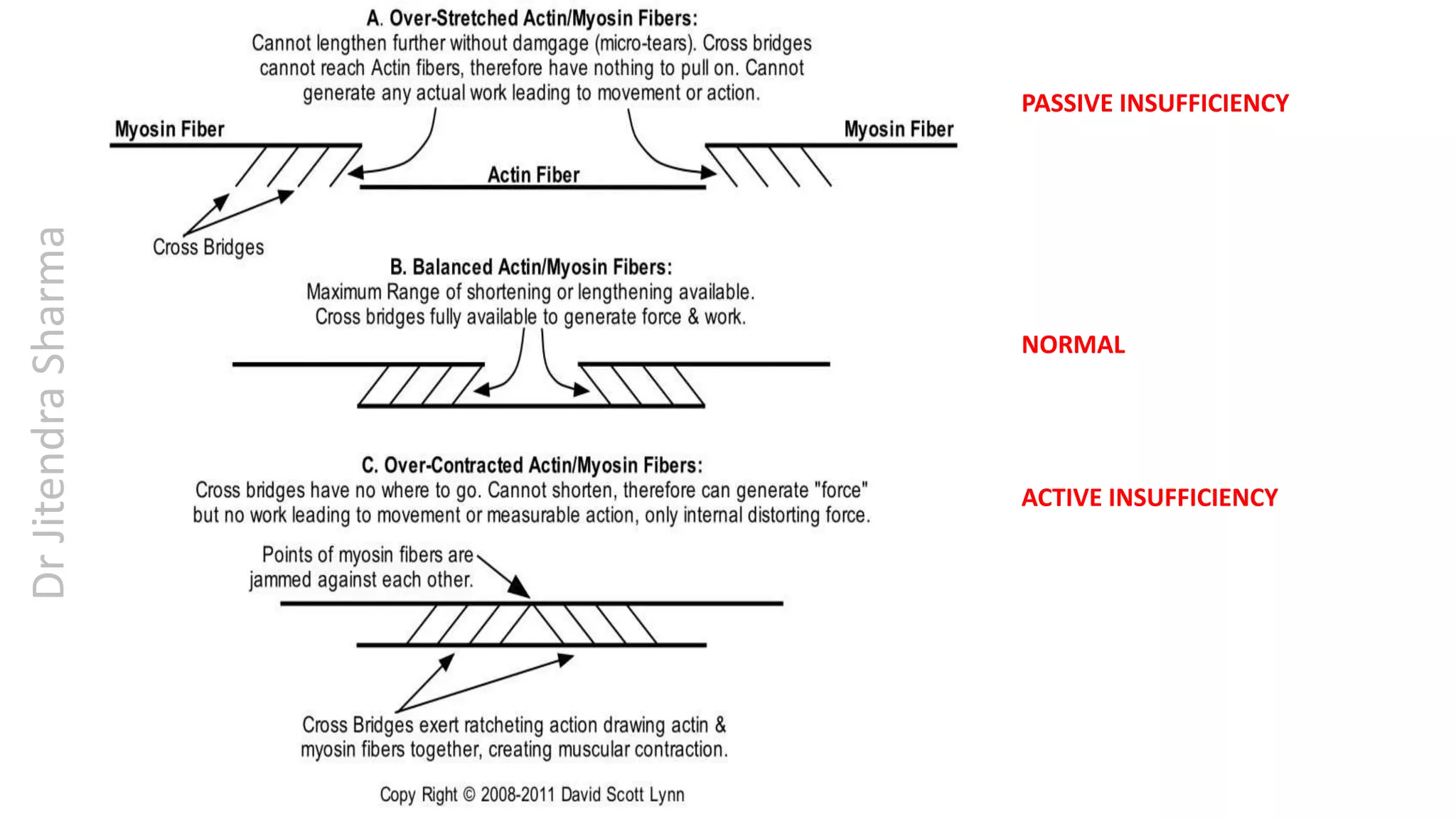 Active and Passive Insufficiency.pptx