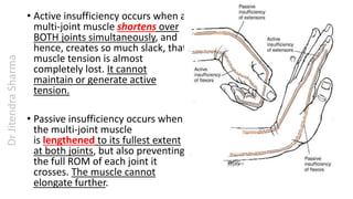 Active and Passive Insufficiency.pptx