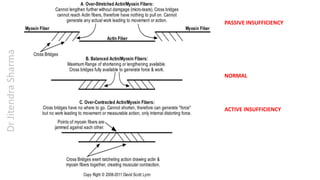 Active and Passive Insufficiency.pptx