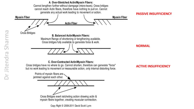 Active and Passive Insufficiency.pptx