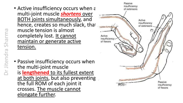 Active and Passive Insufficiency.pptx