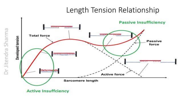 Active and Passive Insufficiency.pptx