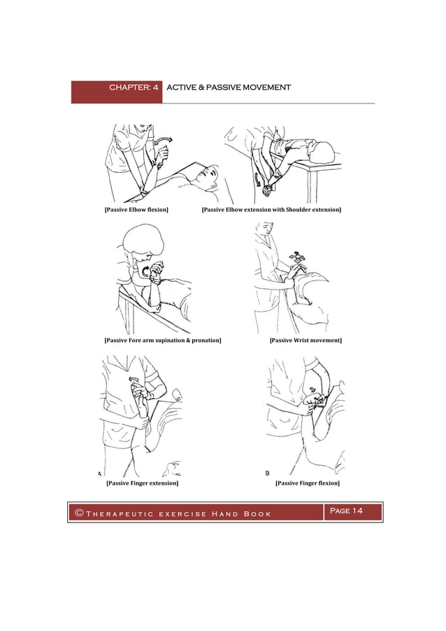 Active and passive movement | PDF | Physical Therapy | Wellness