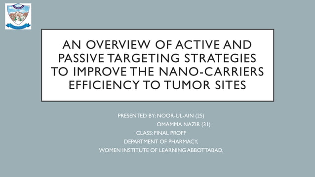 An Overview of Active and Passive Targeting Strategies to Improve the ...