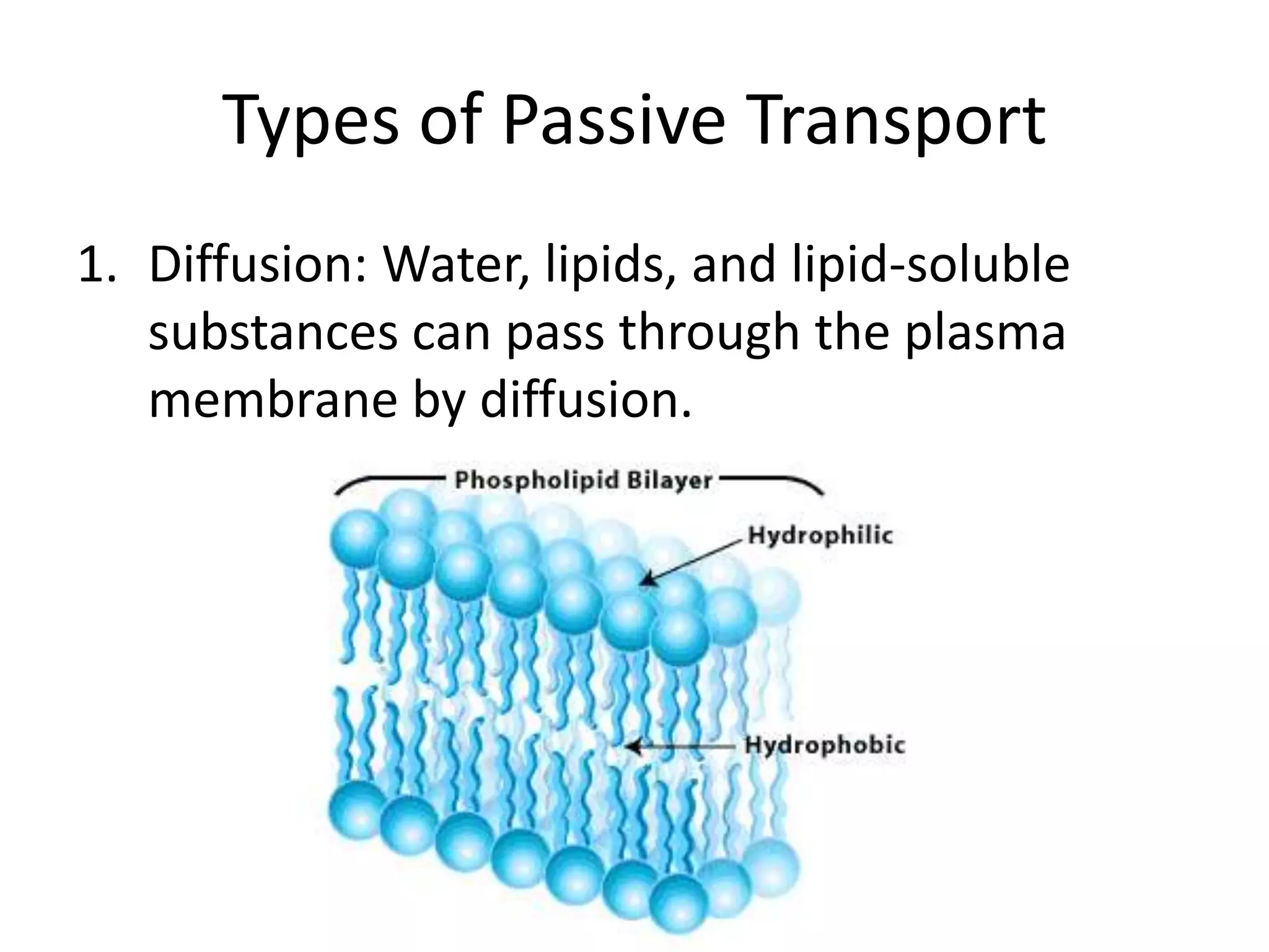 Active and passive transport | PPTX