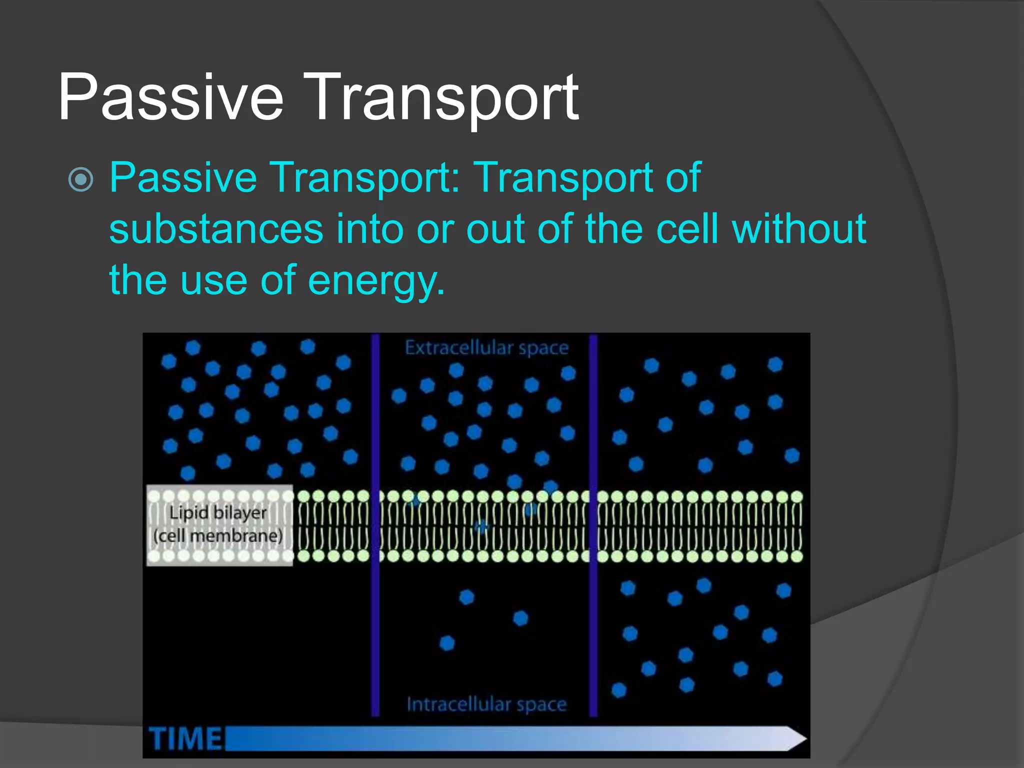Active and passive transport | PPTX