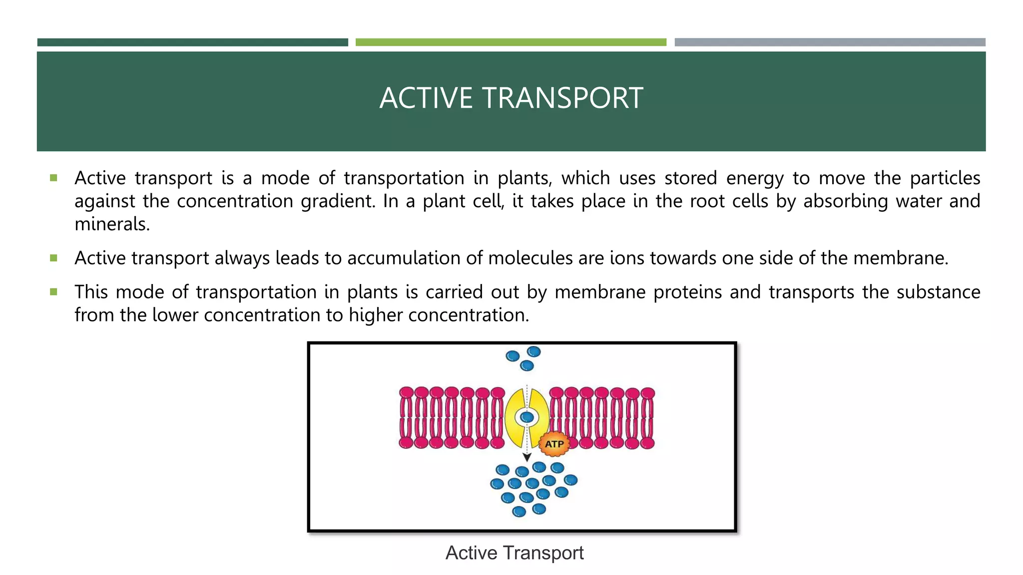 ACTIVE AND PASSIVE TRANSPORT OF IONS.pptx