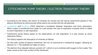 ACTIVE AND PASSIVE TRANSPORT OF IONS.pptx