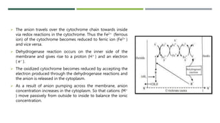 ACTIVE AND PASSIVE TRANSPORT OF IONS.pptx