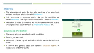 ACTIVE AND PASSIVE TRANSPORT OF IONS.pptx