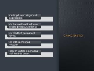 Active circulante | PPTX