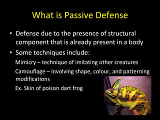 Active Defense and Predator Specialization | PPT
