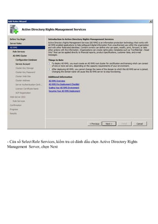 Active directory rights management services | PDF