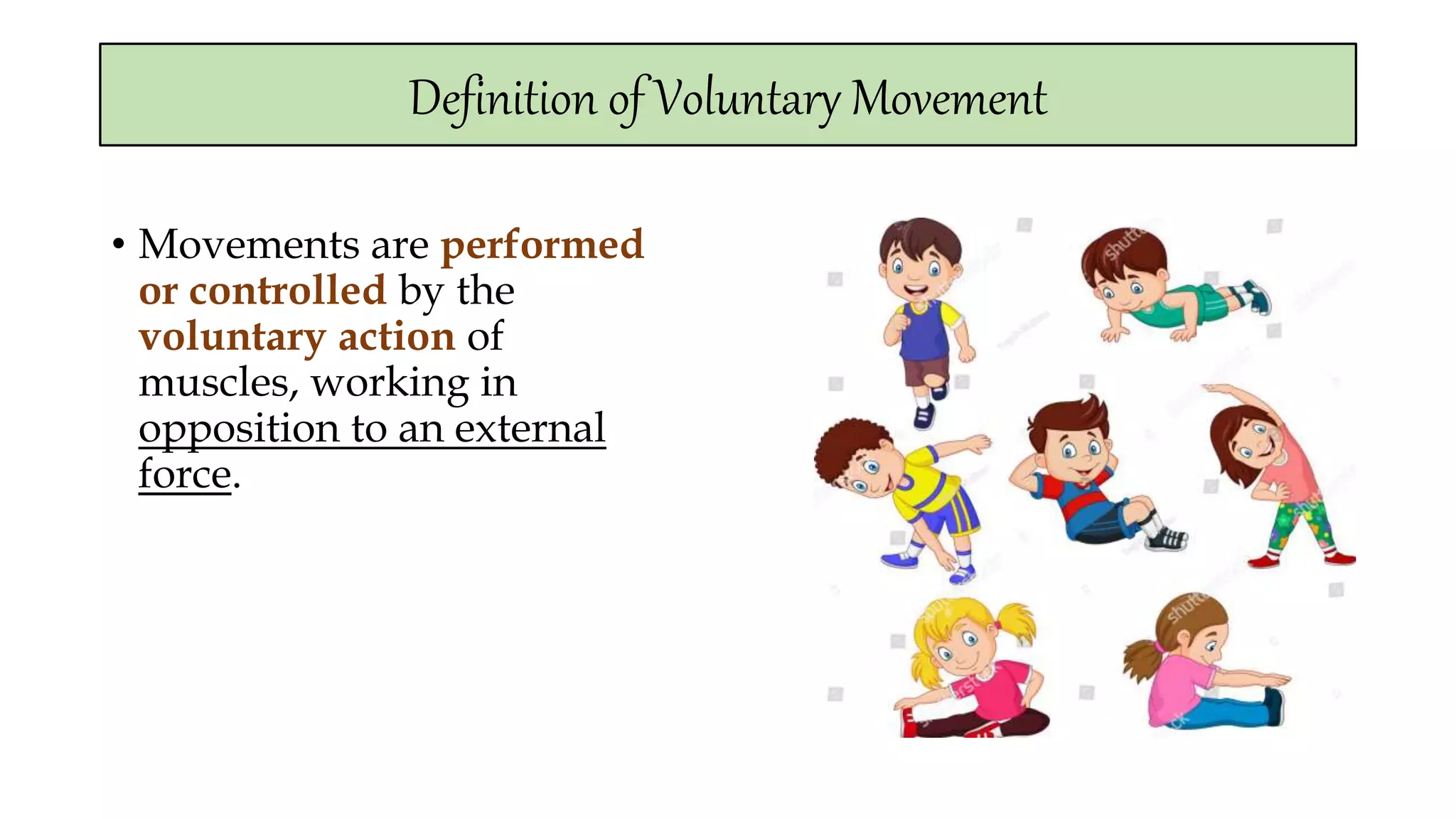 Active Exercises.pptx