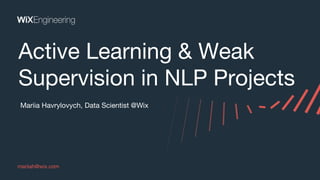 Mariia Havrylovych "Active learning and weak supervision in NLP projects" | PPT