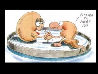 Active management of infertility - a guide for gynecologists | PPT