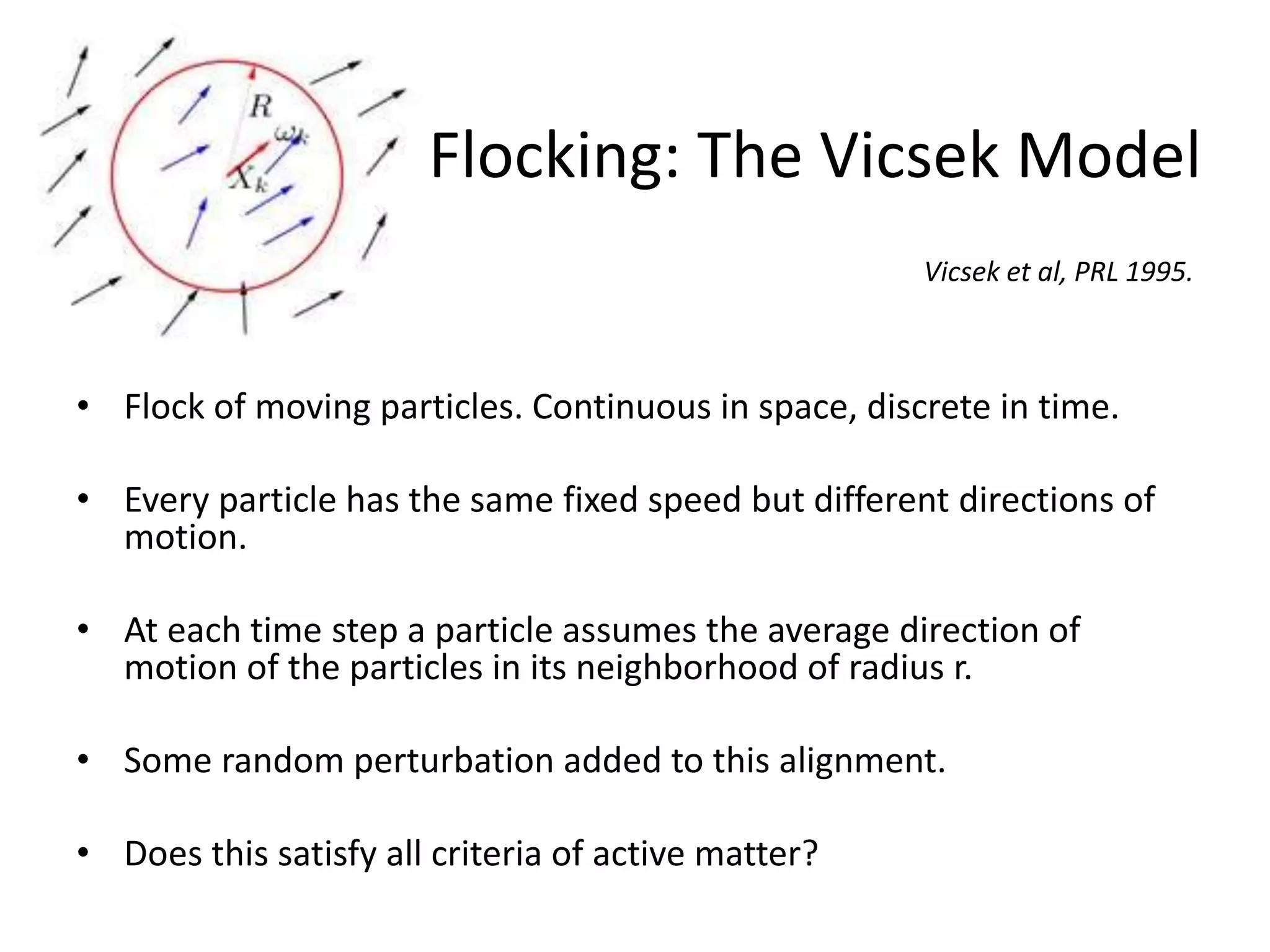 Active Matter and the Vicsek Model of Flocking | PPTX