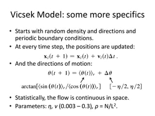 Active Matter and the Vicsek Model of Flocking | PPTX