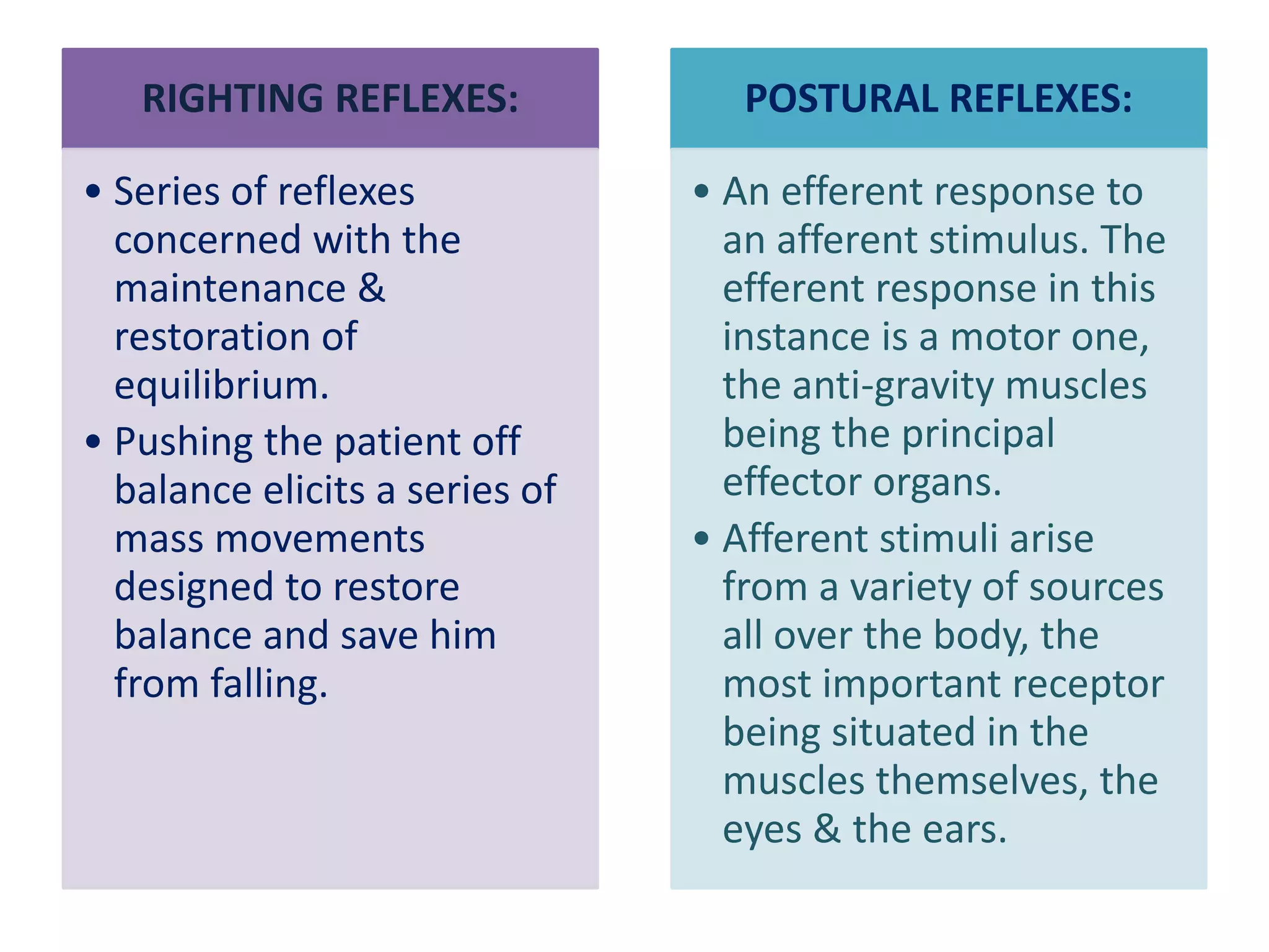Active movements | PPTX