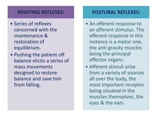 Active movements | PPTX