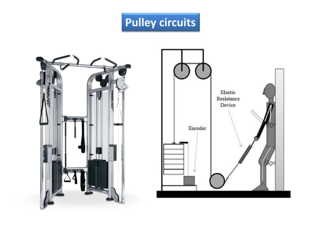 Active movements | PPTX | Physical Therapy | Wellness